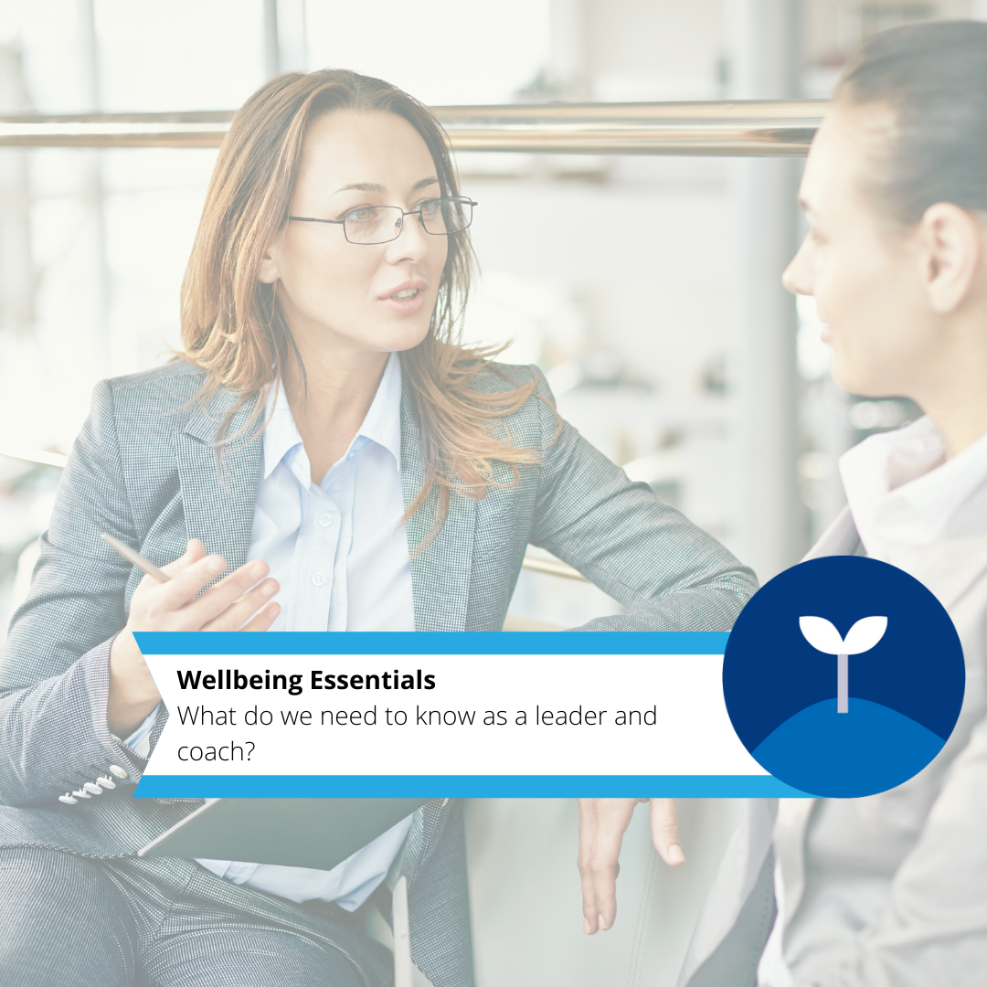 Education Webinar | Wellbeing Essentials